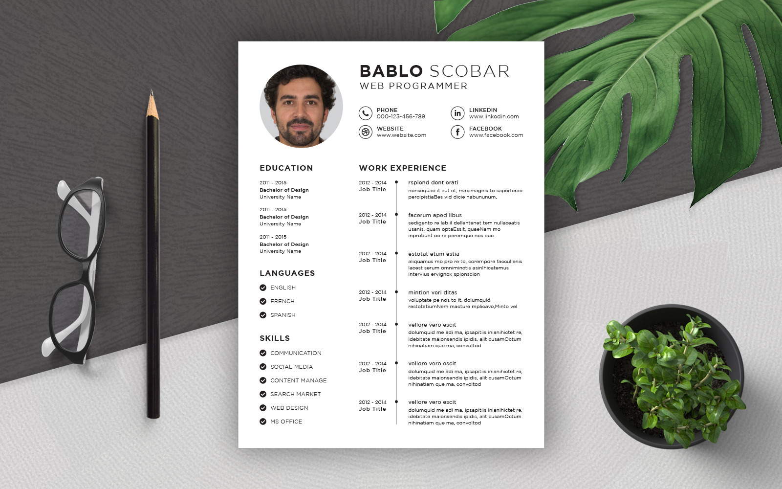 Modèle de CV professionnel InDesign, format A4 et lettre, modèle de CV ...