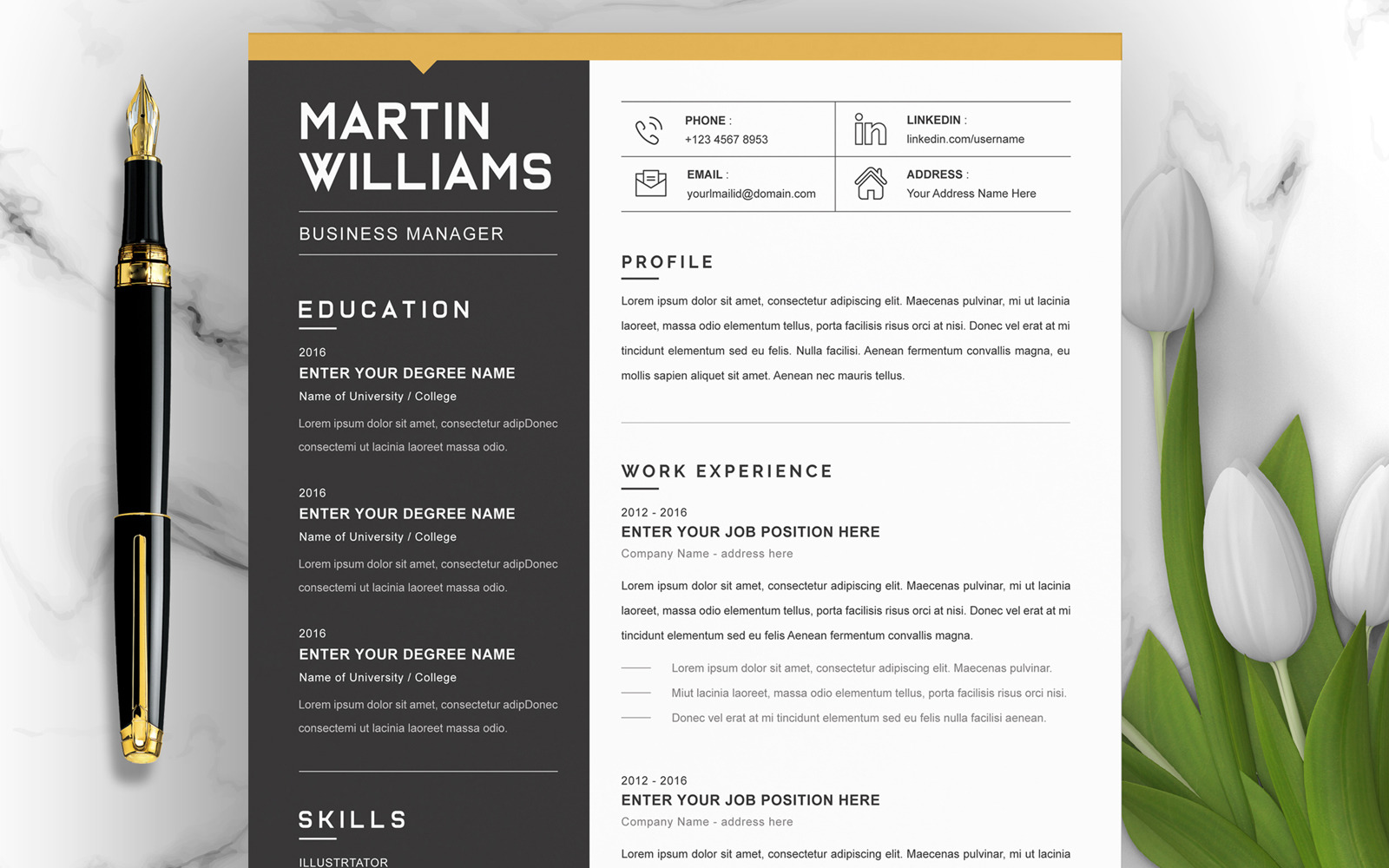 Martin / Professional CV Template #220161 - TemplateMonster