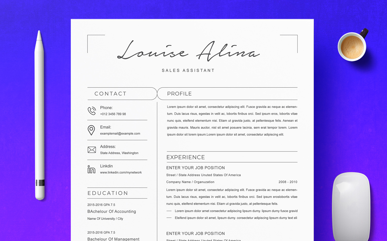 Alina / Clean Resume Template #224841 - TemplateMonster
