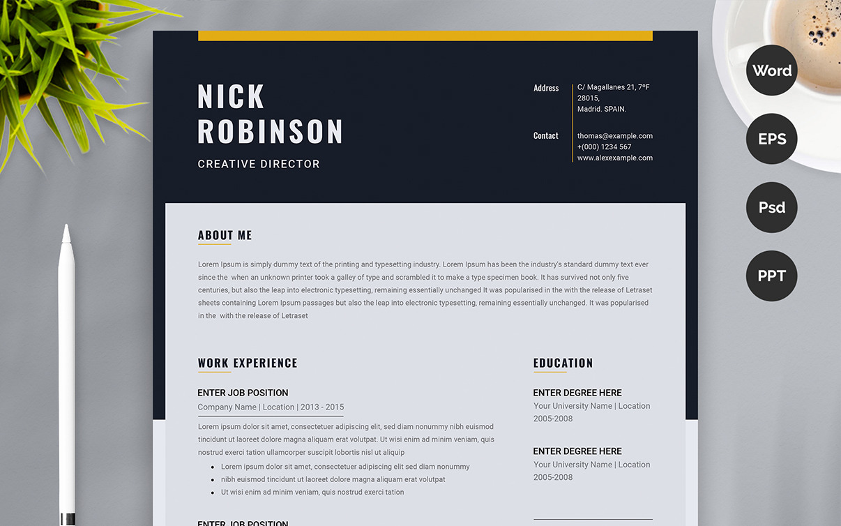 Nick Robinson Resume CV Template #225689 - TemplateMonster