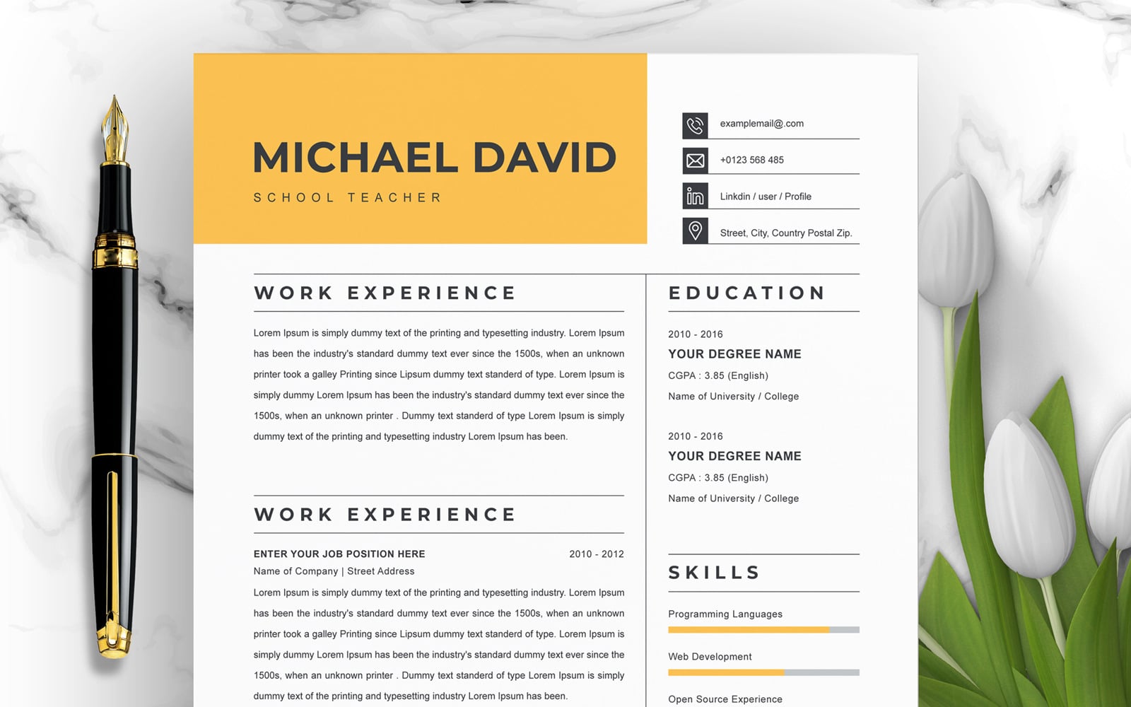 Michael David / Resume Template #226115 - TemplateMonster