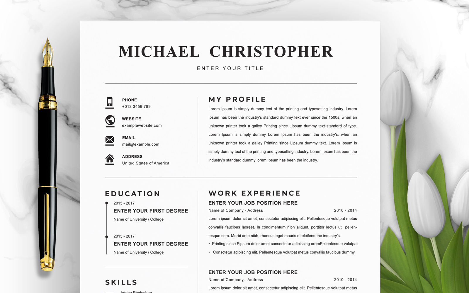 Michael / CV Resume Template #230848 - TemplateMonster