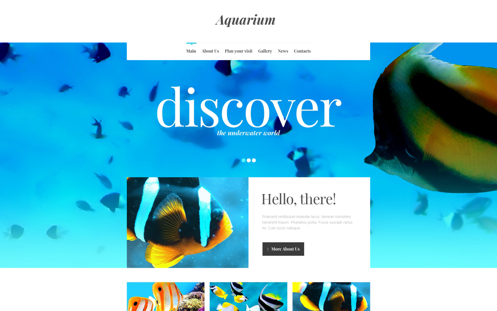 Free Fish Responsive Website Design Template