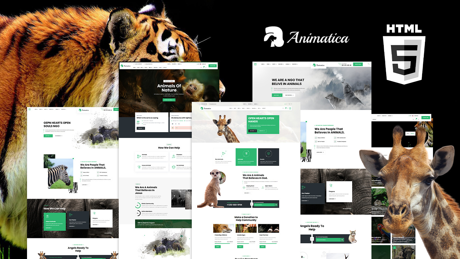 Animatica Animal Wild Life Non Profit HTML5 Website Template