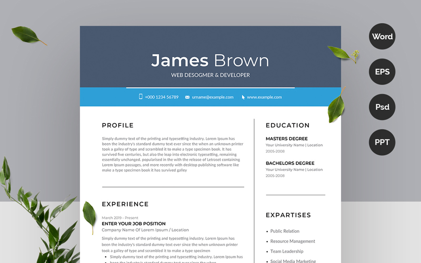 Word Resume / CV Template #251056 - TemplateMonster