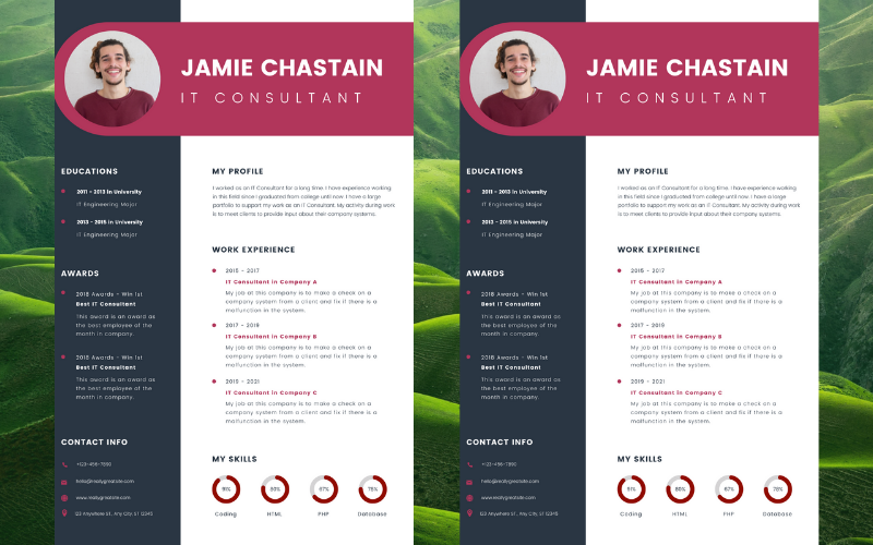 Editable and Printable Resume Template - TemplateMonster