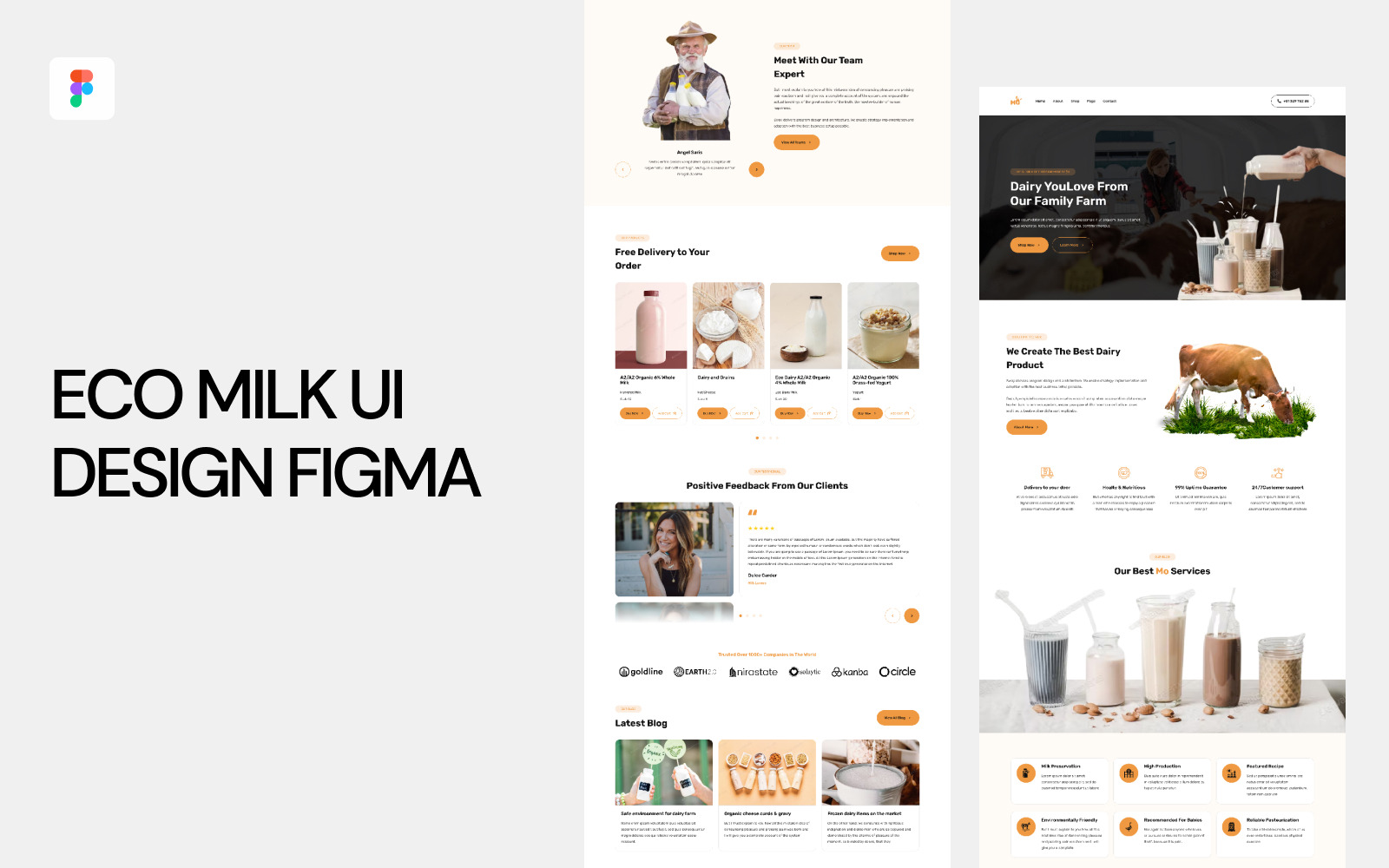 Eco Milk UI Design Figma Template #269770 - TemplateMonster