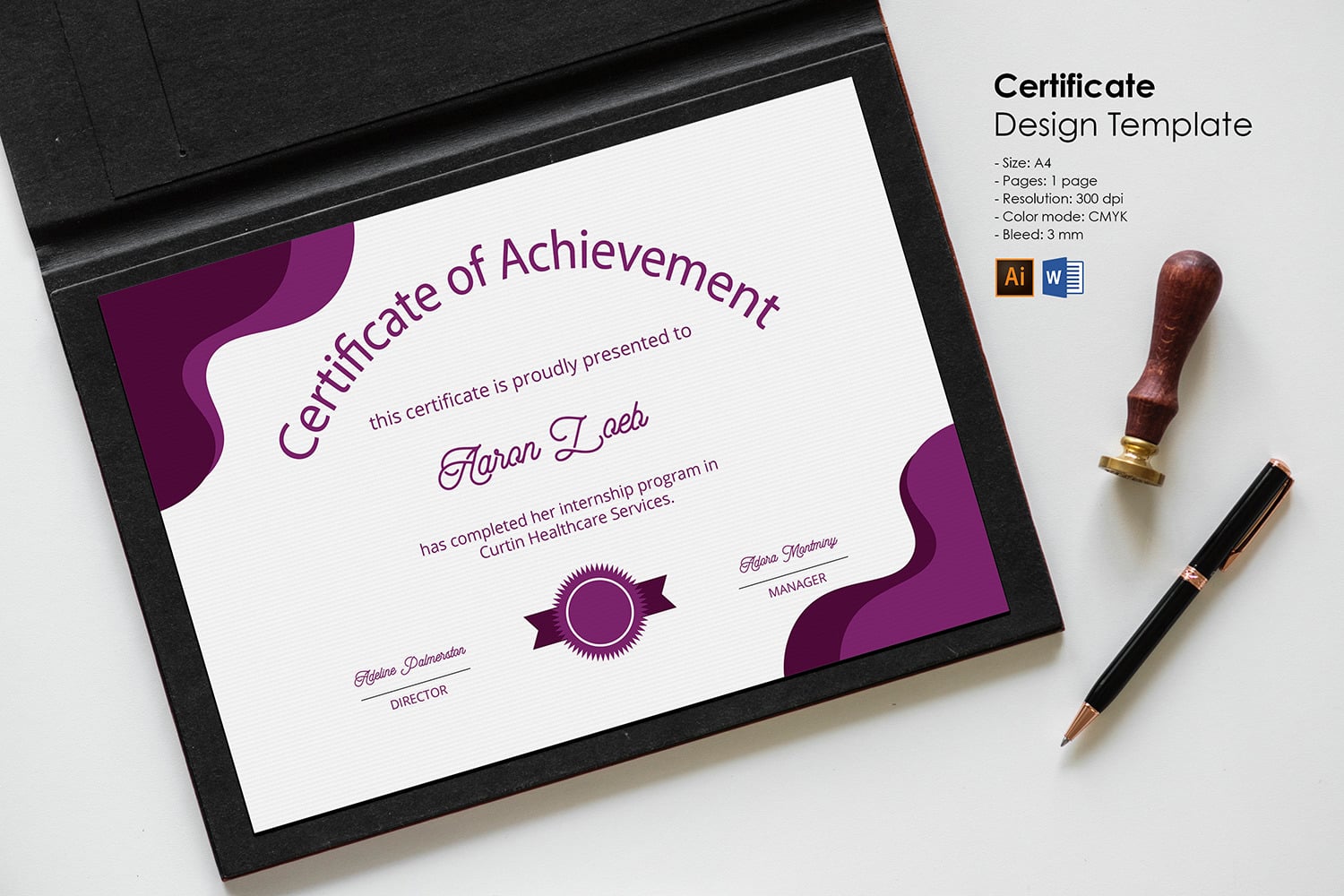 Modèle imprimable de certificat de réussite - TemplateMonster