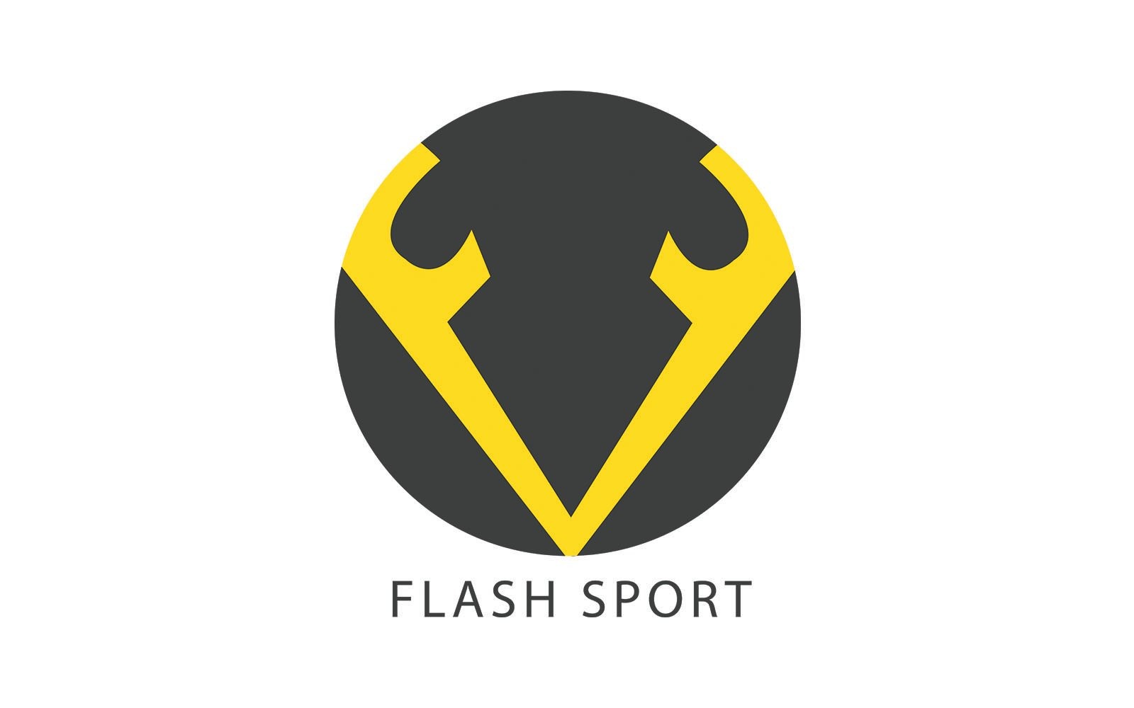 Flash Sport logo Template #273775 - TemplateMonster