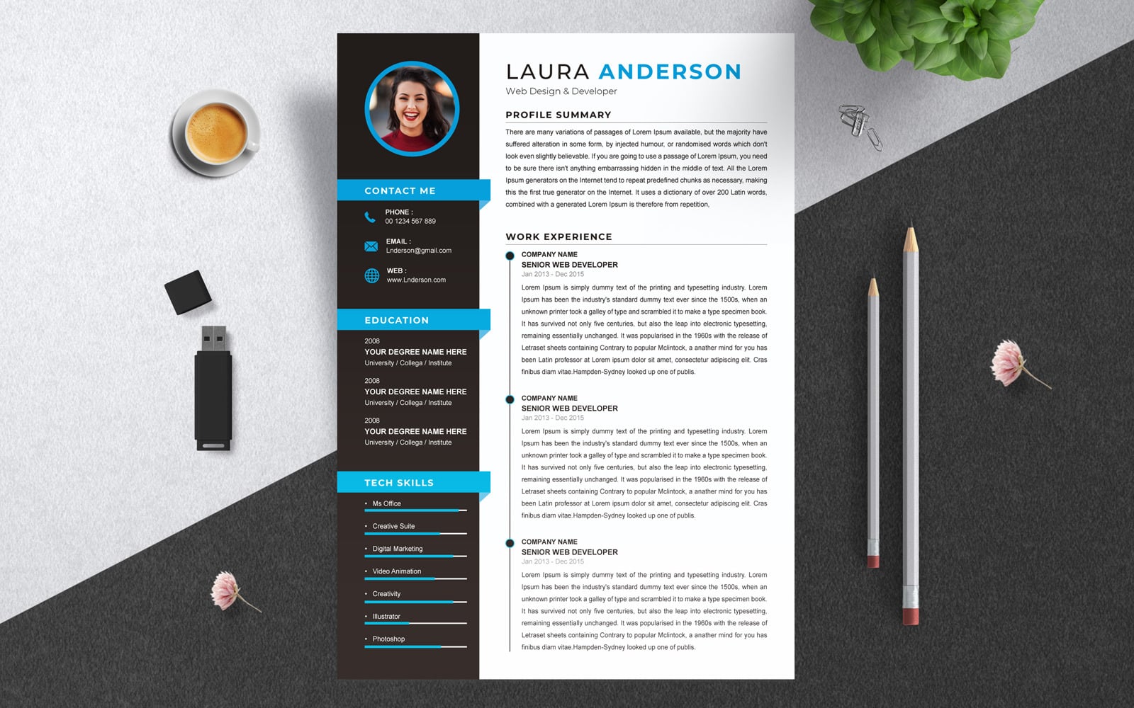 Anderson / Resume CV Template #284444 - TemplateMonster