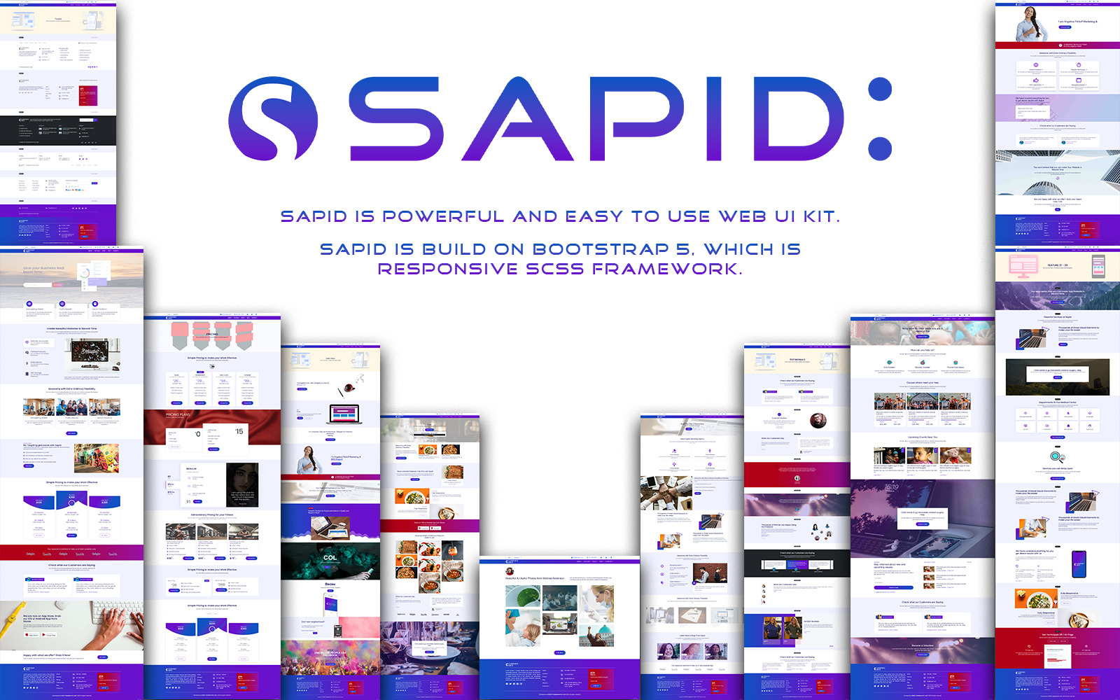 Sapid HTML Design Template #286282 - TemplateMonster