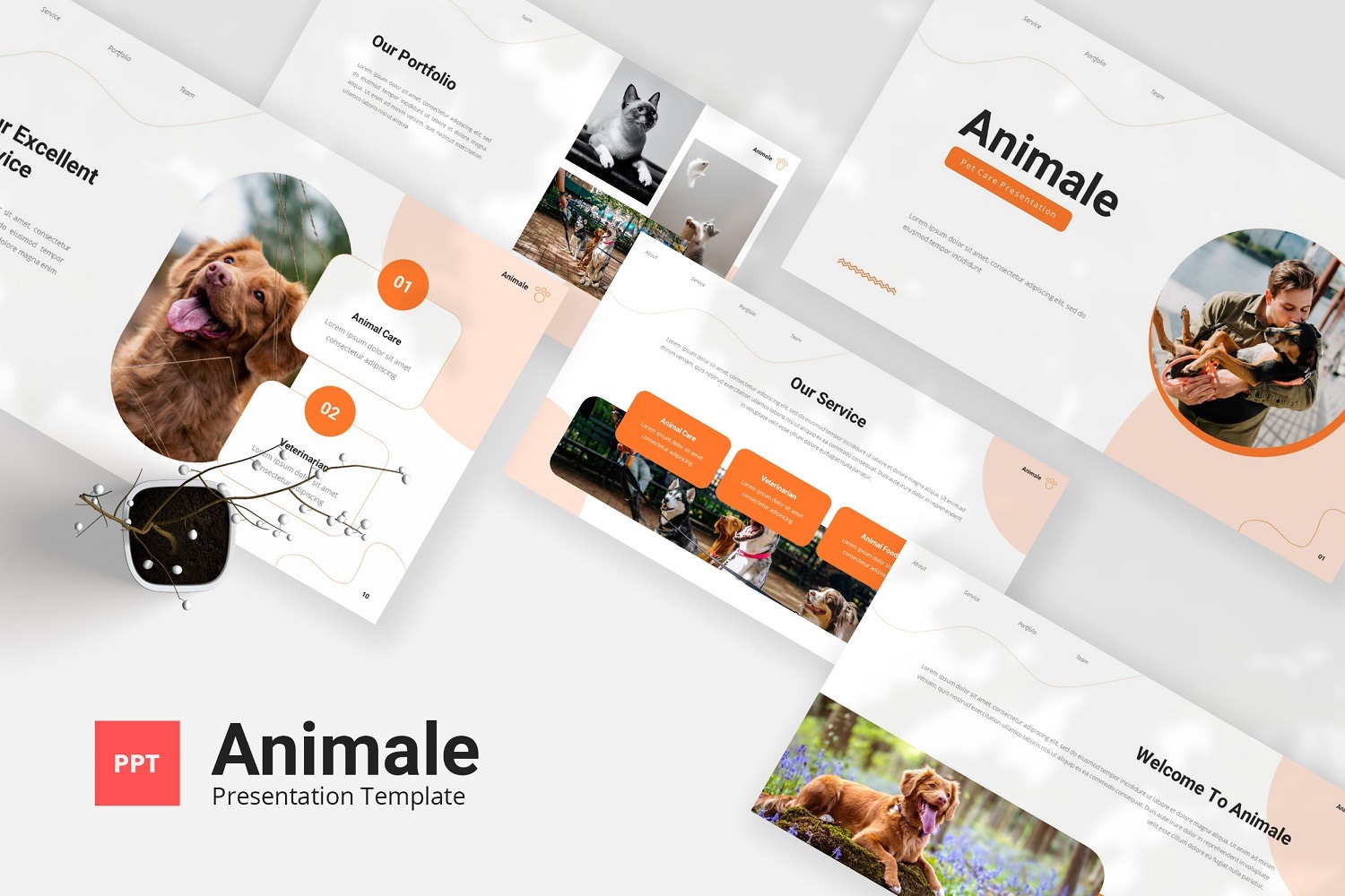 Animale - Pet Care Powerpoint Template - TemplateMonster