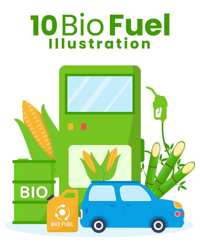 10 Biofuel Life Cycle Illustration #288879 - TemplateMonster