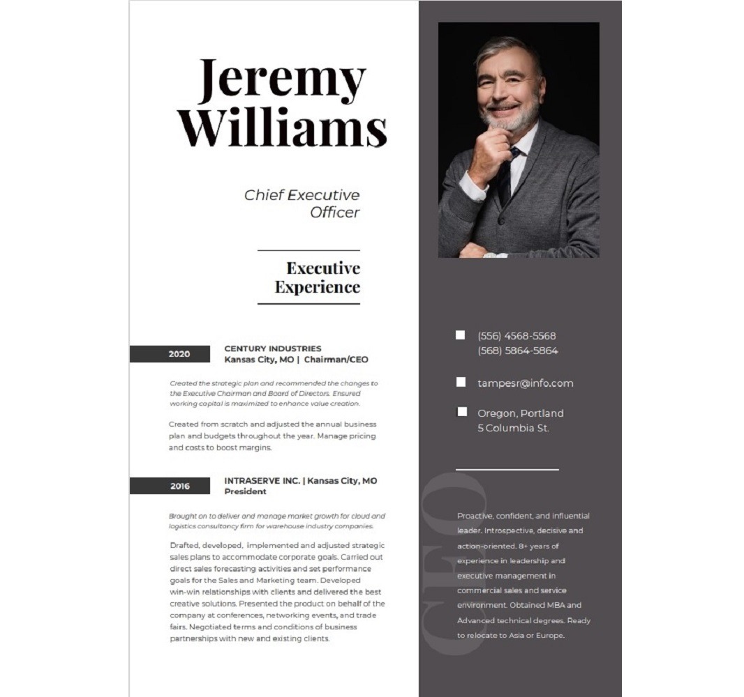 Ready-to-Use Printable Resume Templates - TemplateMonster