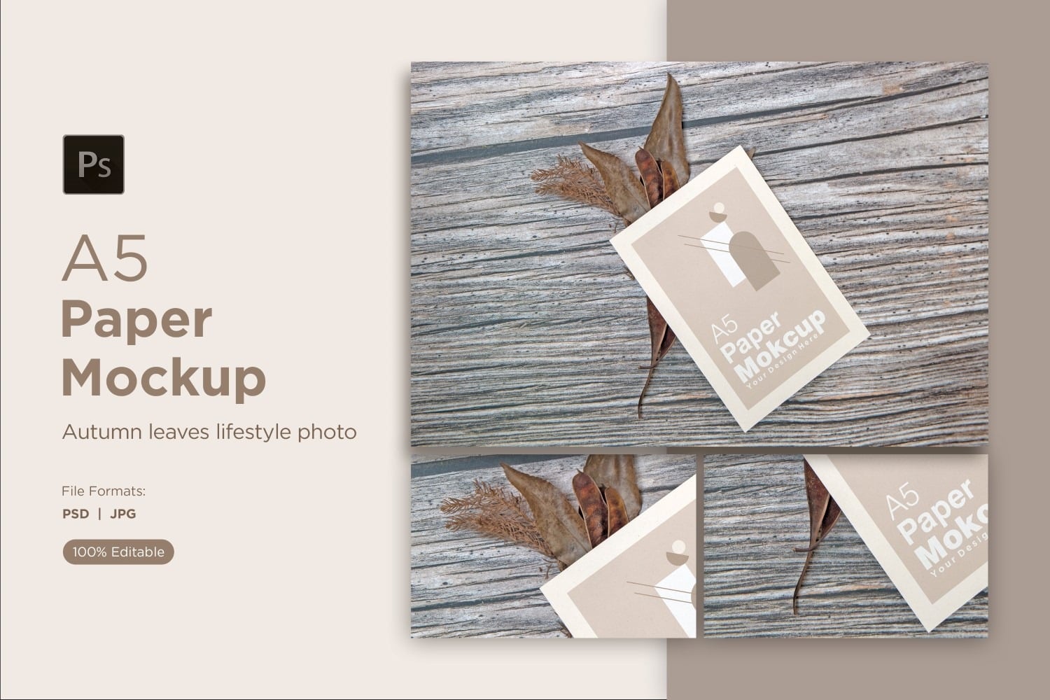 A5 Paper Mockups With Dry Leaves and pinus leaves and mimosa tree seed ...