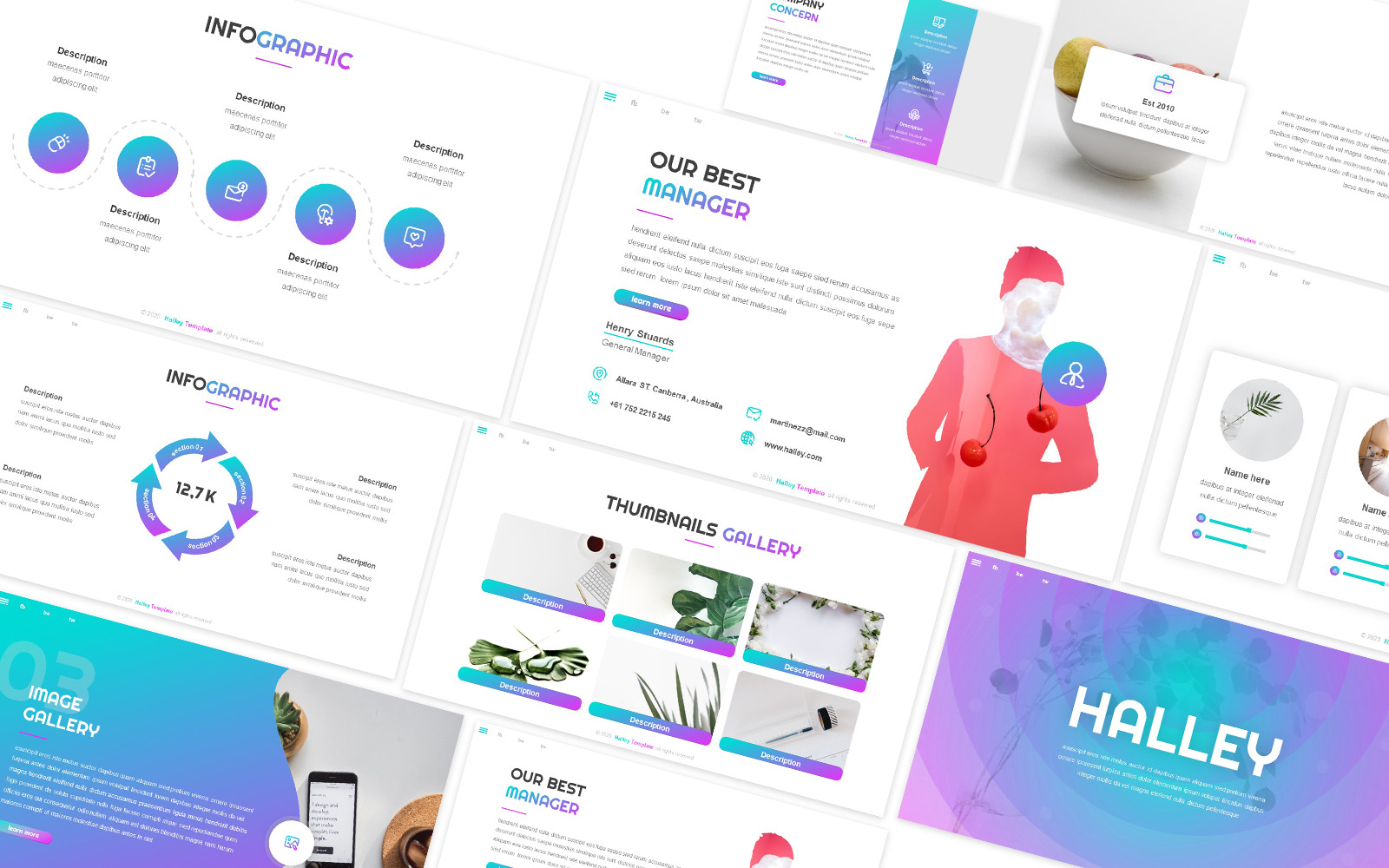 Modèle Powerpoint de la société Halley - TemplateMonster