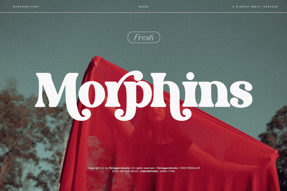 Morphins | Display Serif Font #305466 - TemplateMonster
