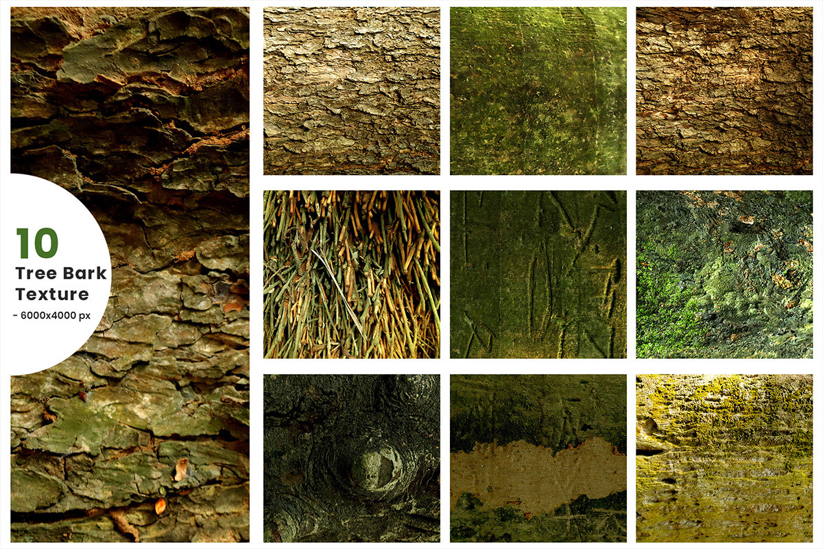 Tree wallpaper texture background concept and Palm tree trunk texture ...