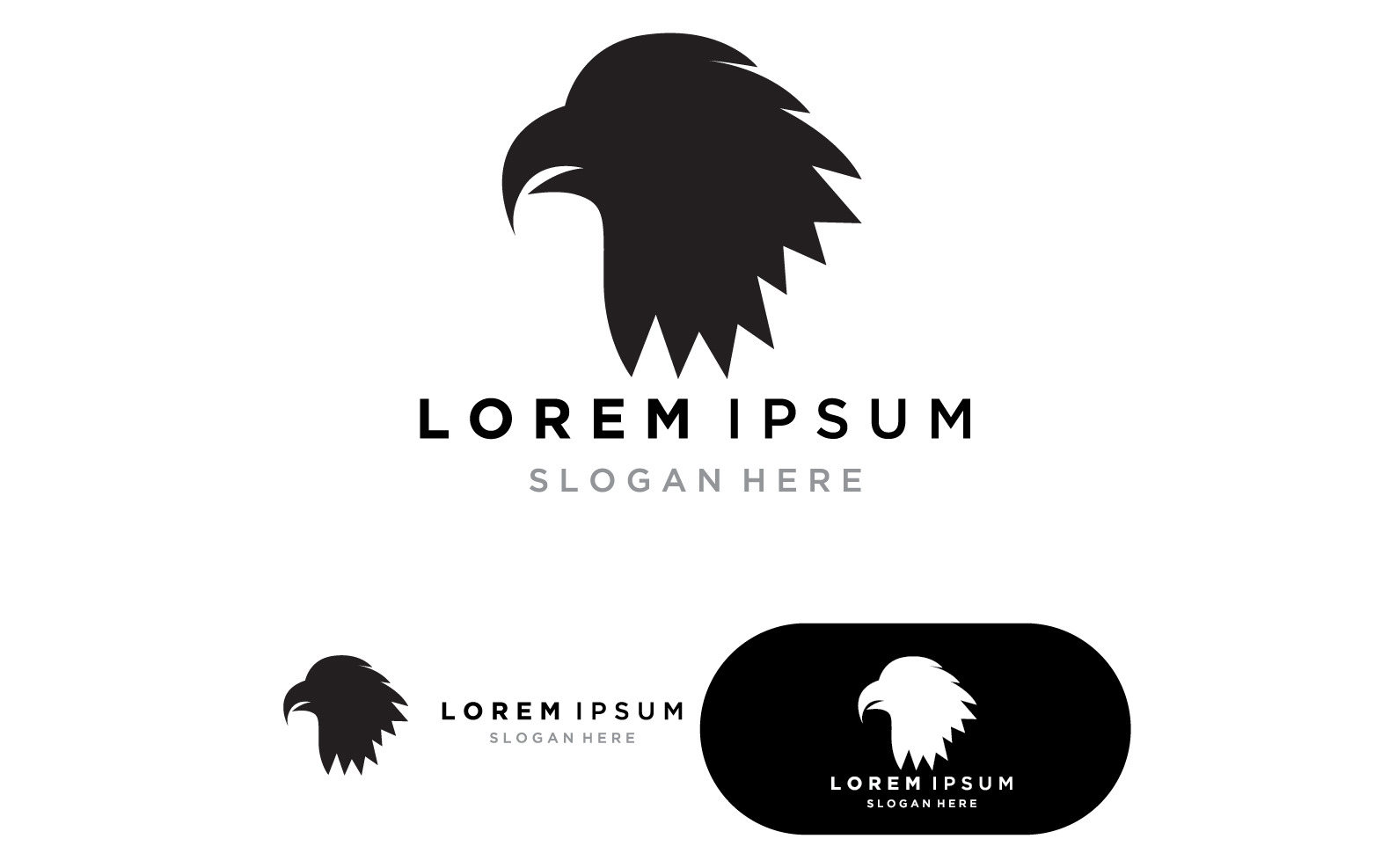 鸟和翼飞隼、鹰、猫头鹰标志矢量图标设计模板 v28 #313152 - TemplateMonster