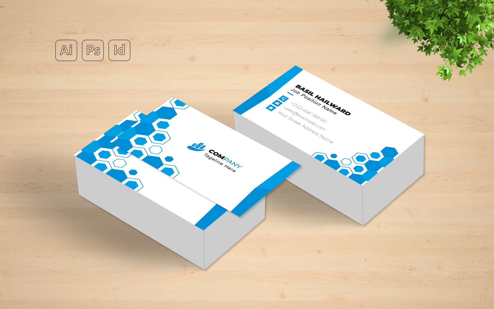 Business Card Template Design layout - TemplateMonster