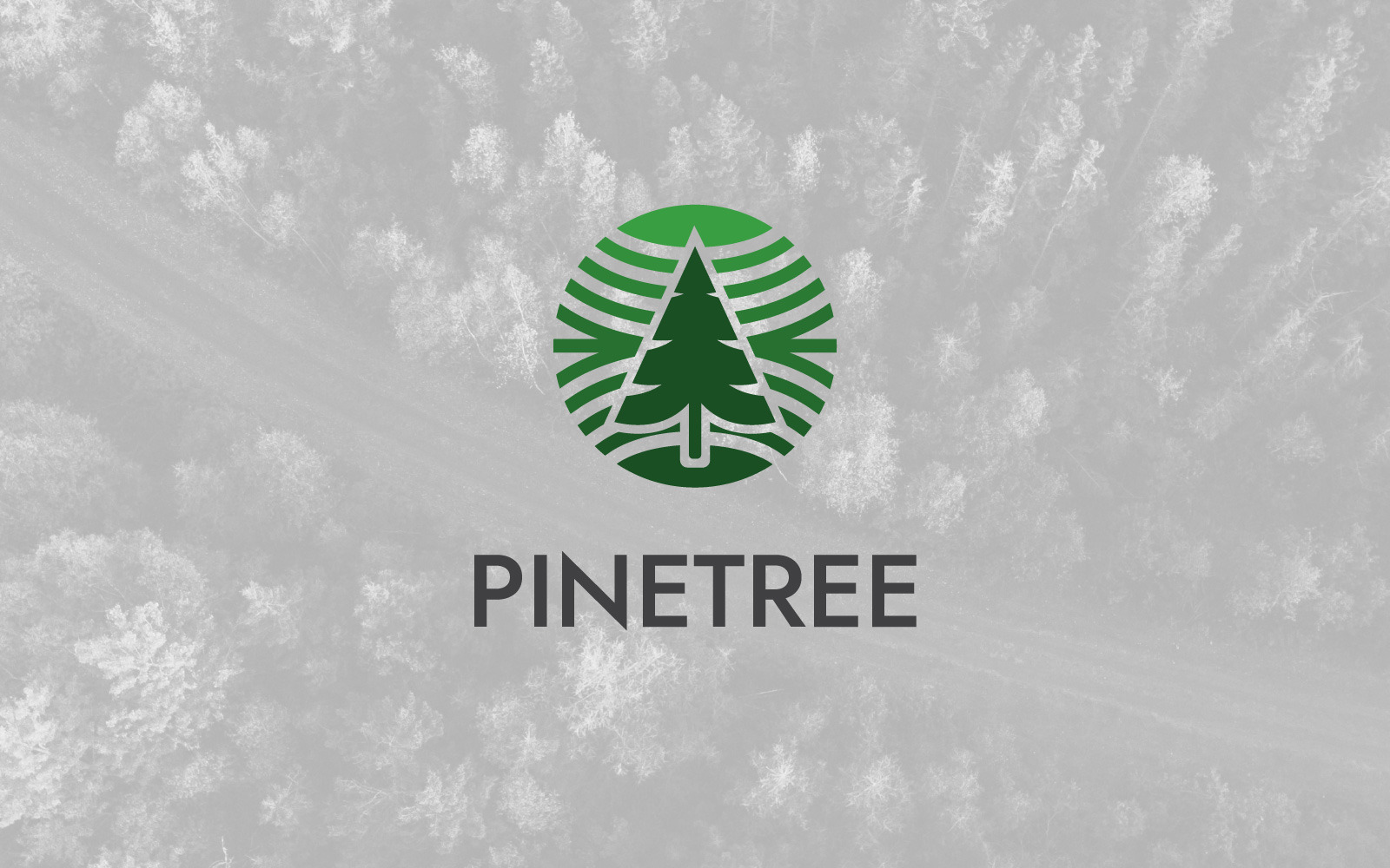 Pine tree circle natural logo design template