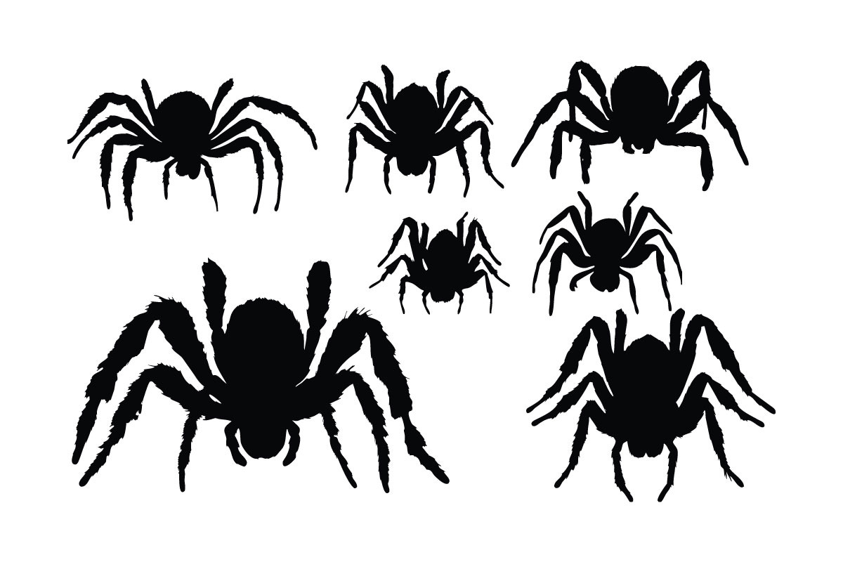 Poisonous spider silhouette set vector - TemplateMonster