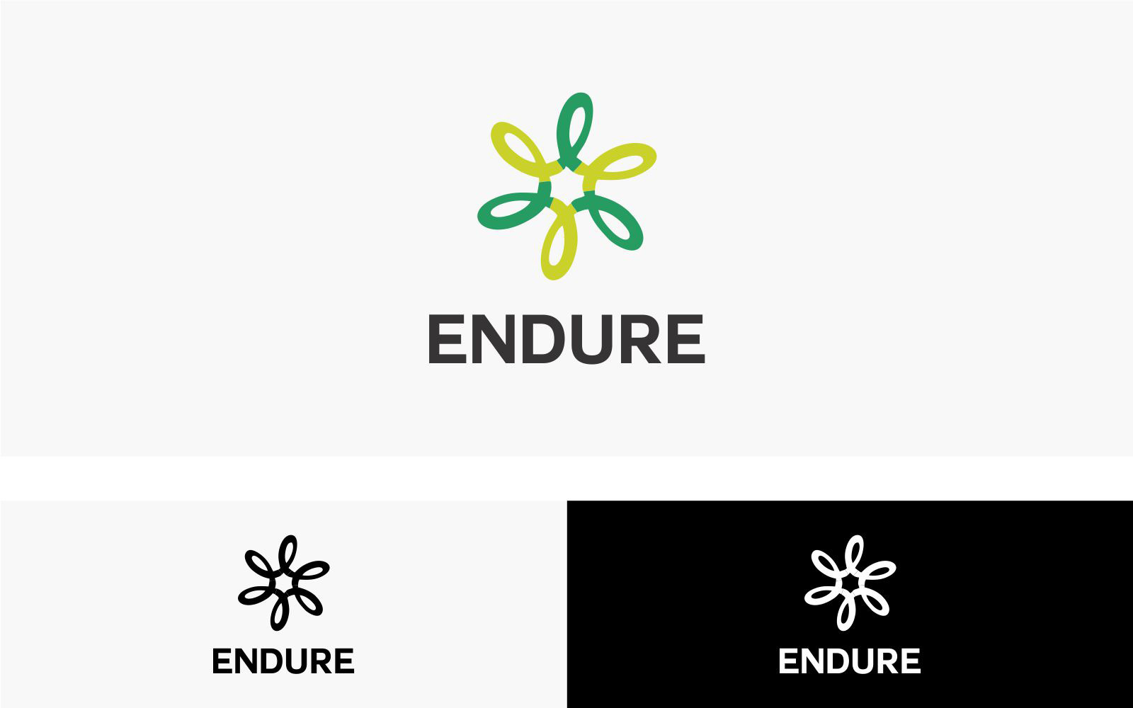 Endure Logo Design template #345048 - TemplateMonster