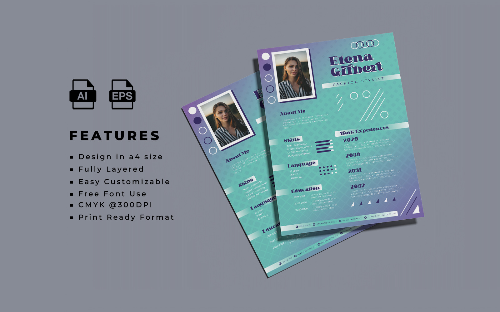 Resume and CV Flyer Template 3 #346013 - TemplateMonster
