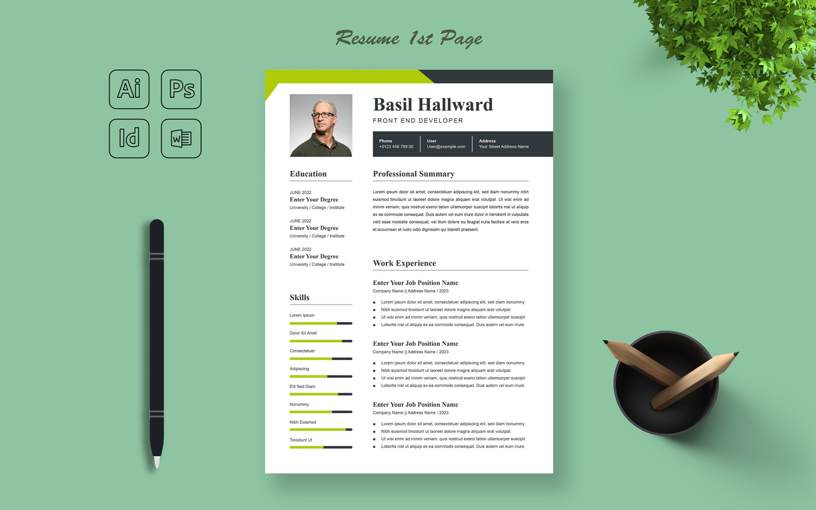 Professional Resume / CV Design Layout - TemplateMonster