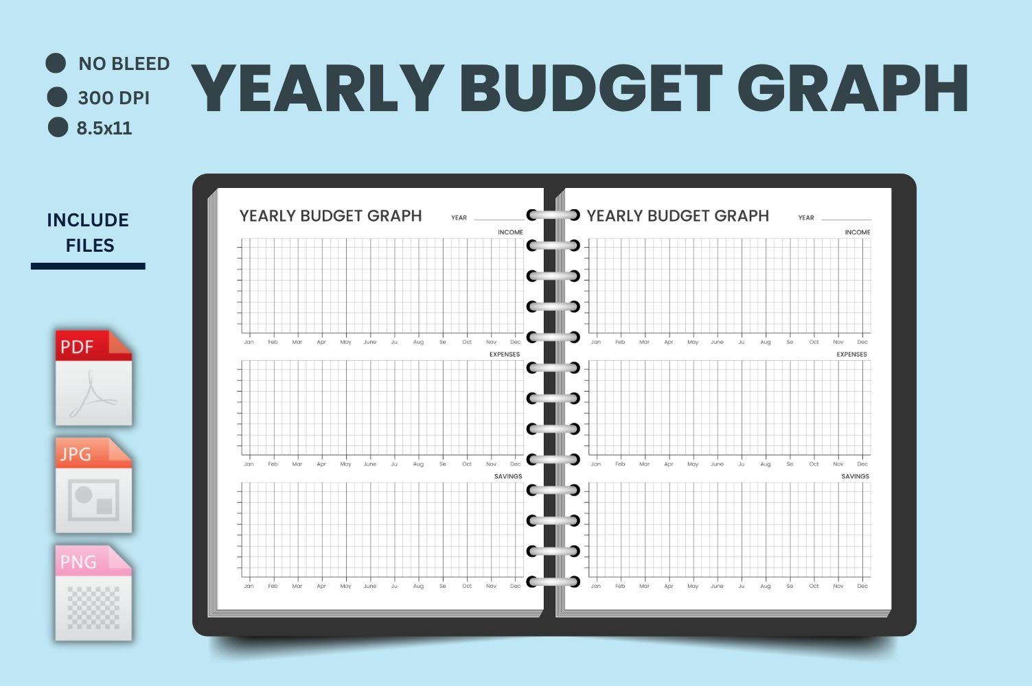 Financial Overview Chart, Printable Planner Inserts, Yearly Budget ...