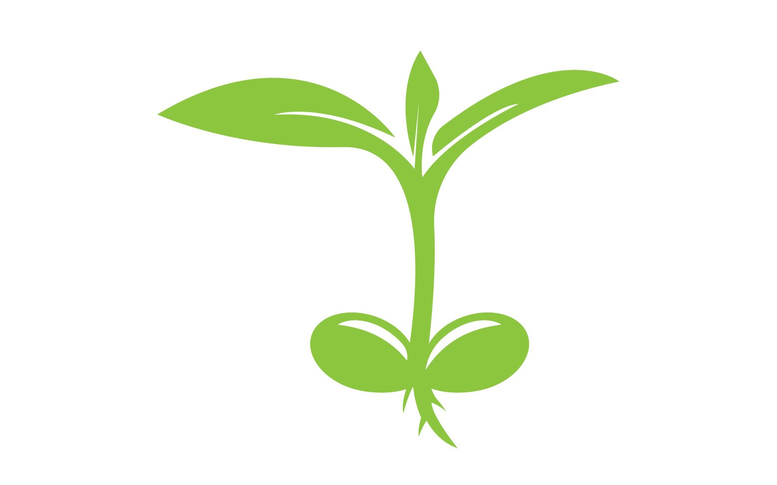 Seeds sprout sprouts template logo v8 - TemplateMonster