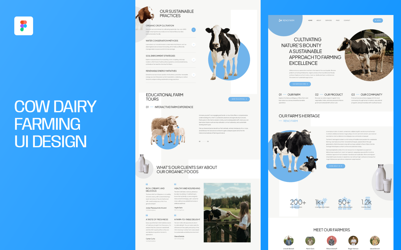 Cow Dairy Farming UI Design #373577 - TemplateMonster