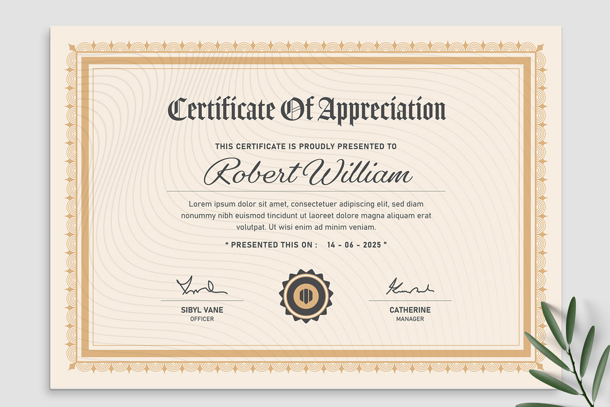 Professional Certificate of Appreciation - TemplateMonster