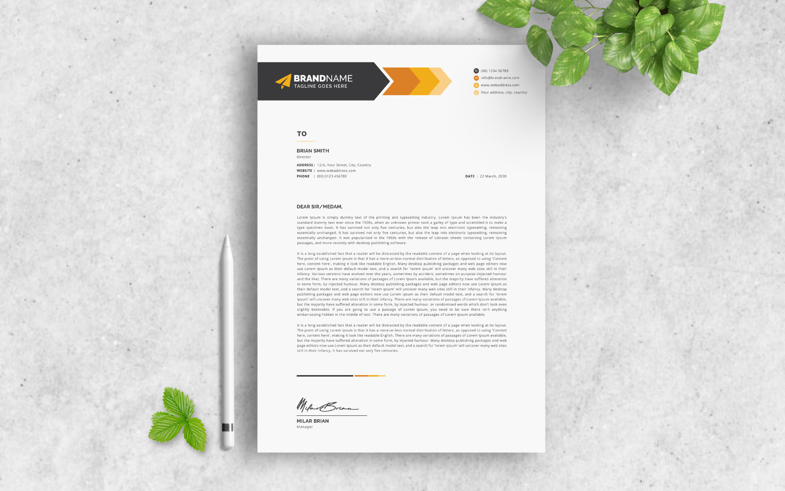 Letterhead, Unique Letterhead, Modern Letterhead, Stylish Letterhead ...