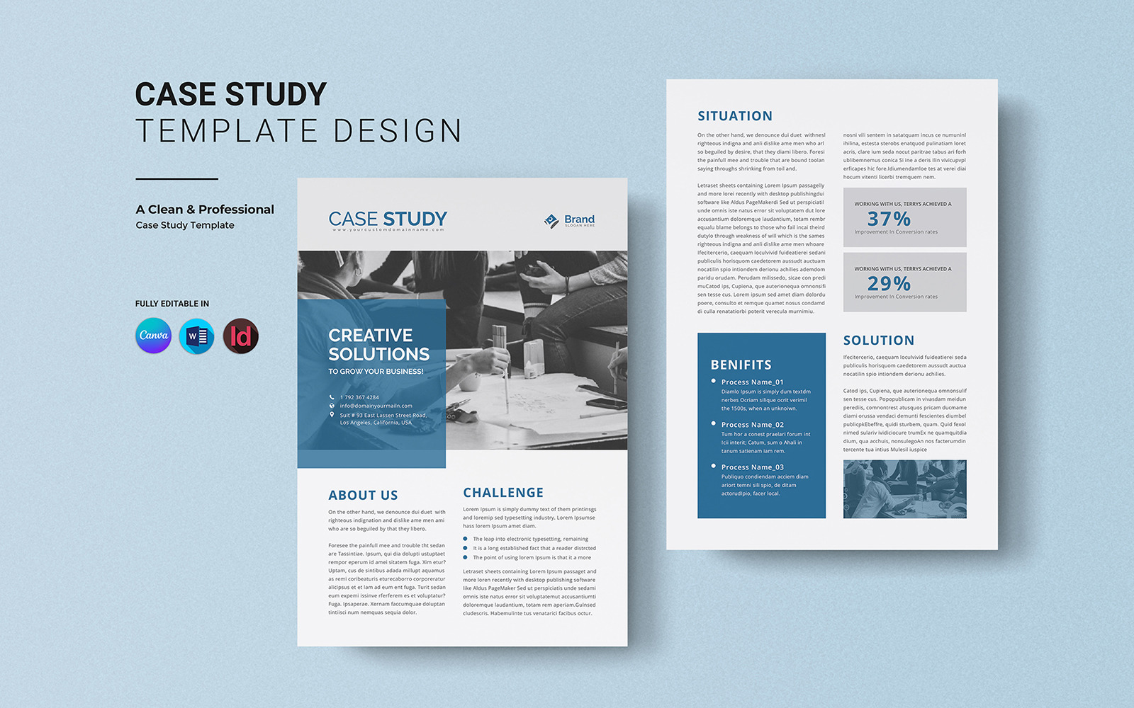 Modern & Professional Case Study Flyer Template - Canva Case Study