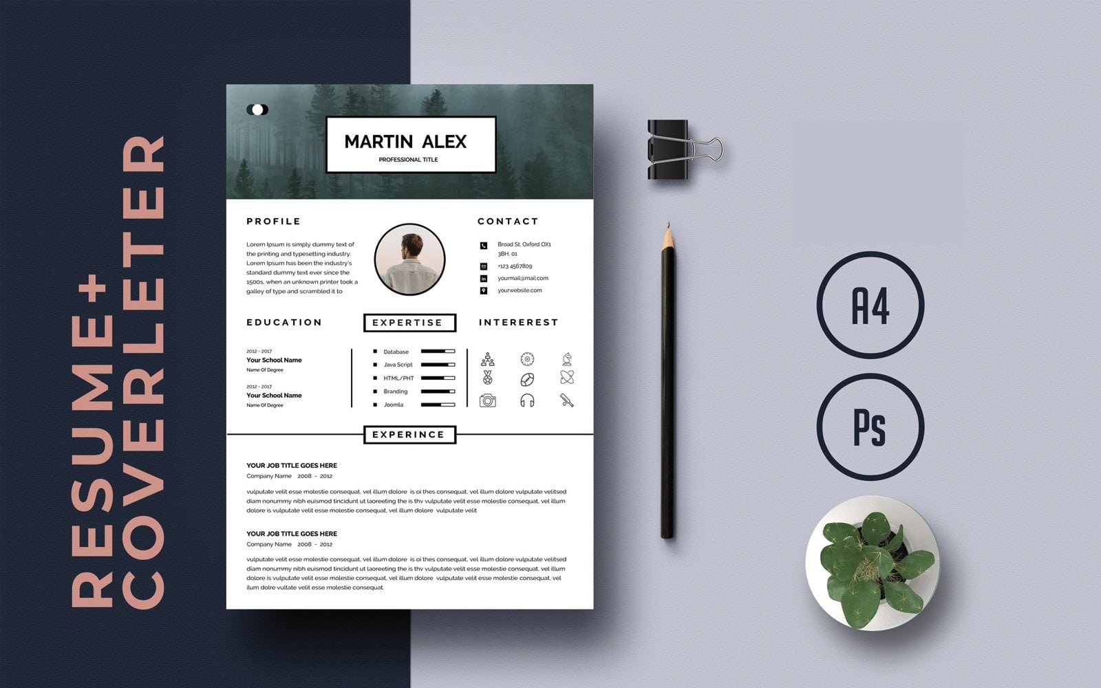 Best Professional Resume Template for Microsoft Word 2024 2 page Resume ...