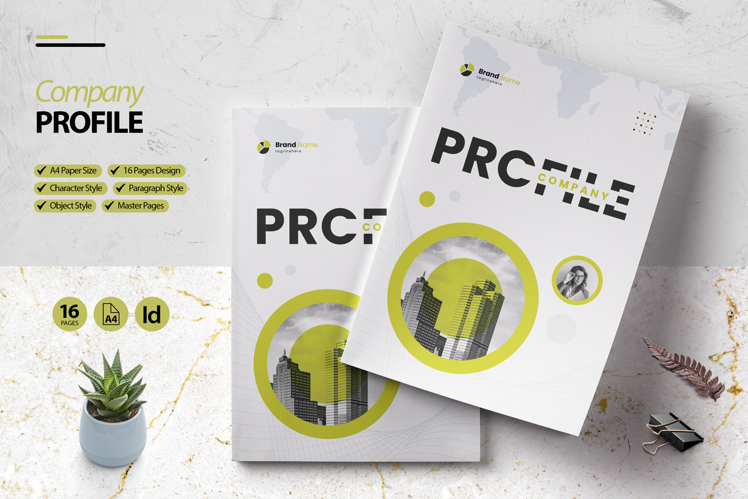 Company Profile Template for Your Business - TemplateMonster