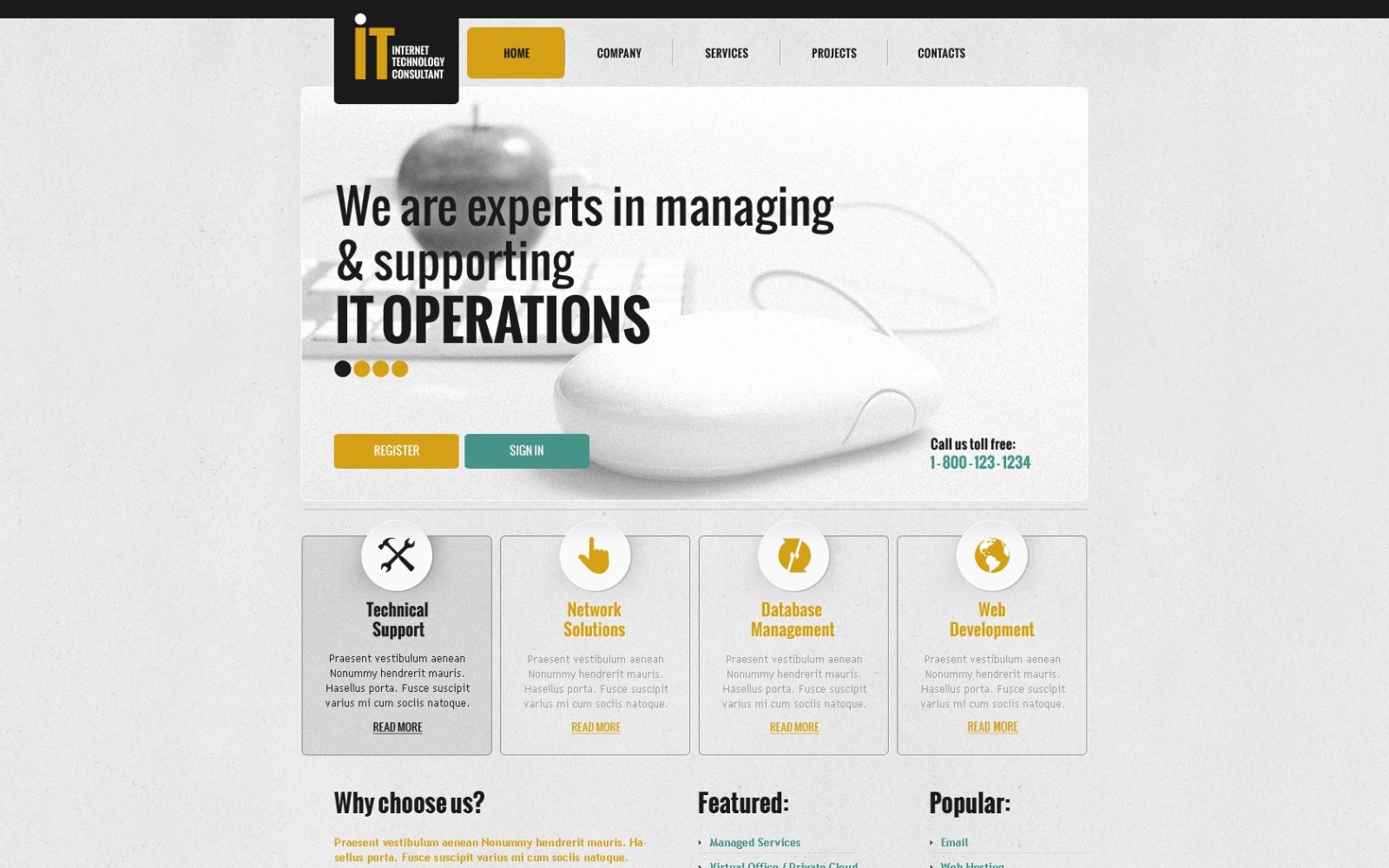 Plantilla de sitio web adaptable a Internet - TemplateMonster