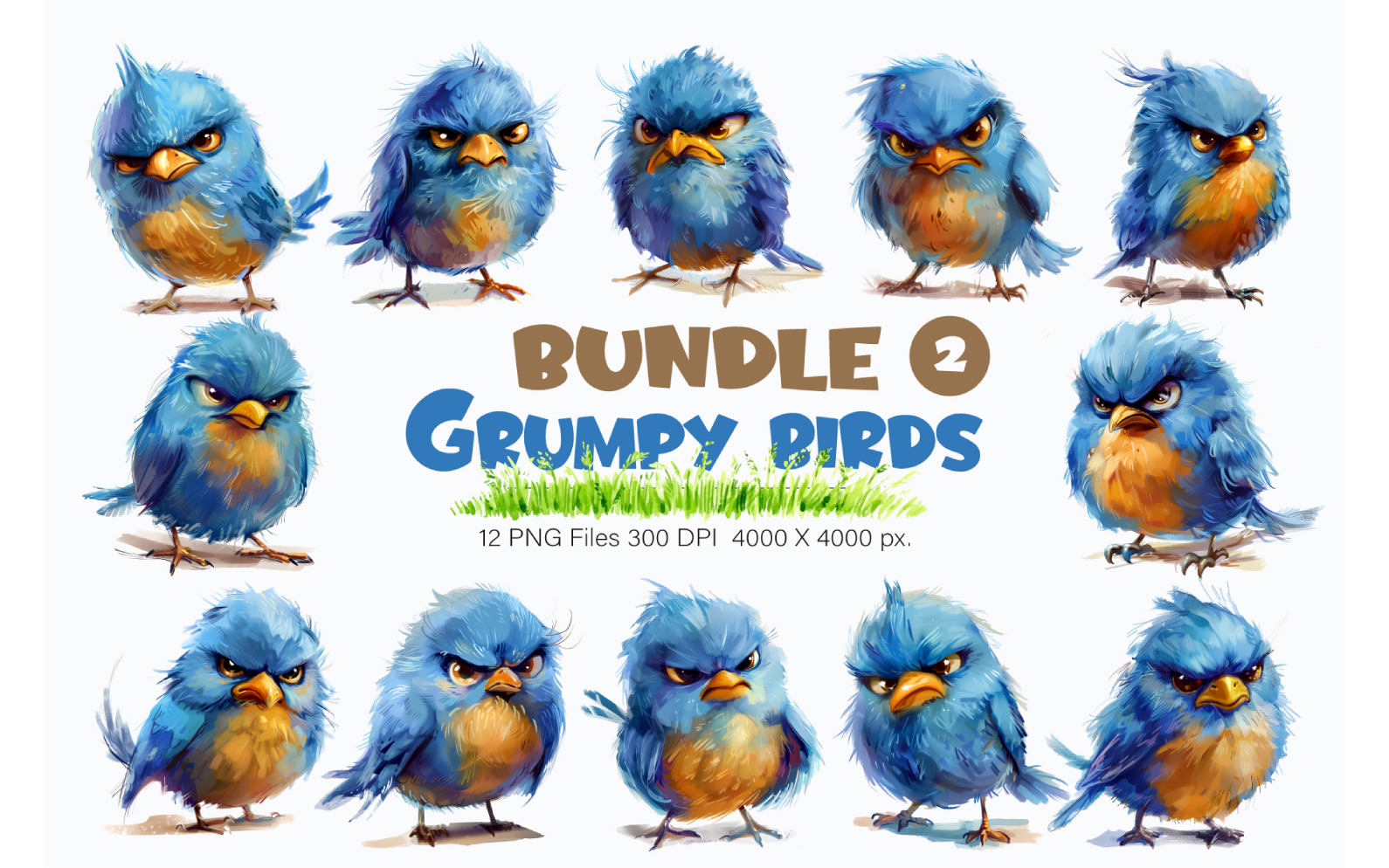 Grumpy cute birds 02. TShirt Sticker. - TemplateMonster