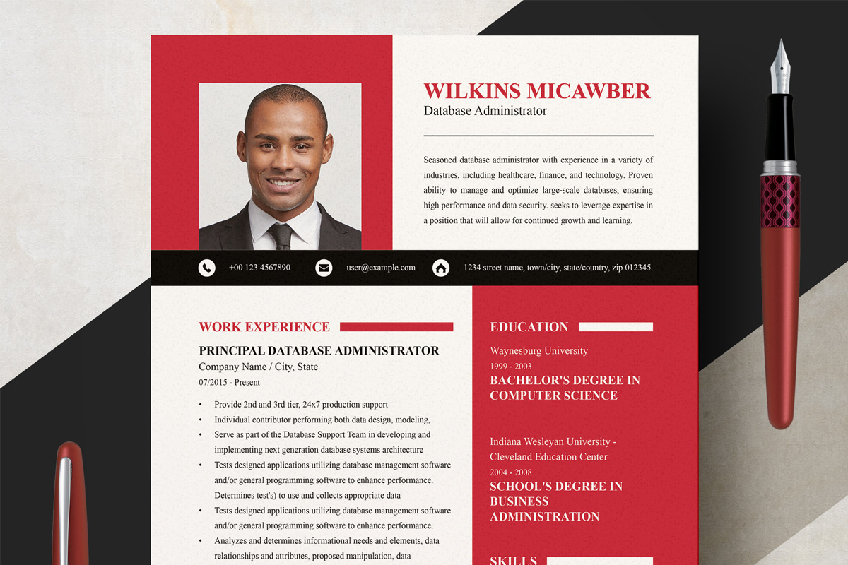 Creative Professional Resume Template Layout