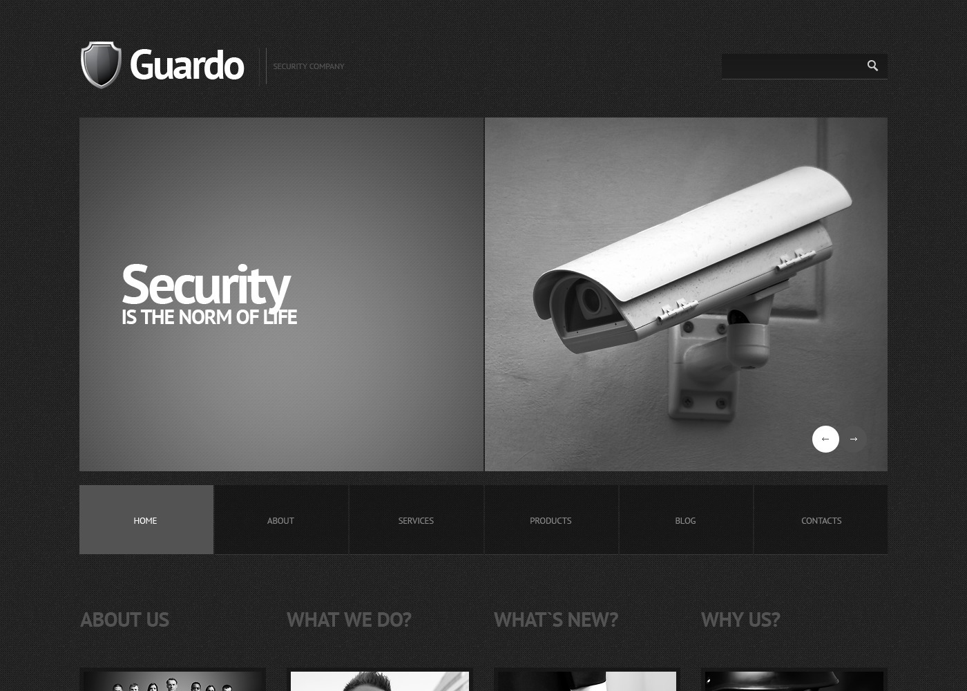 Security Responsive WordPress Theme #45015 - TemplateMonster