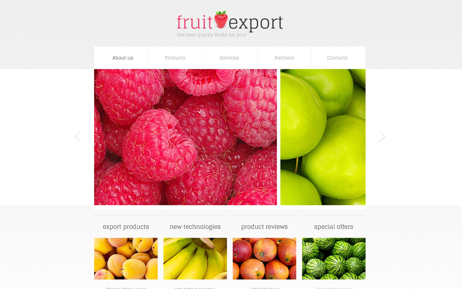 Fruit Responsive Website Template #45529 - TemplateMonster