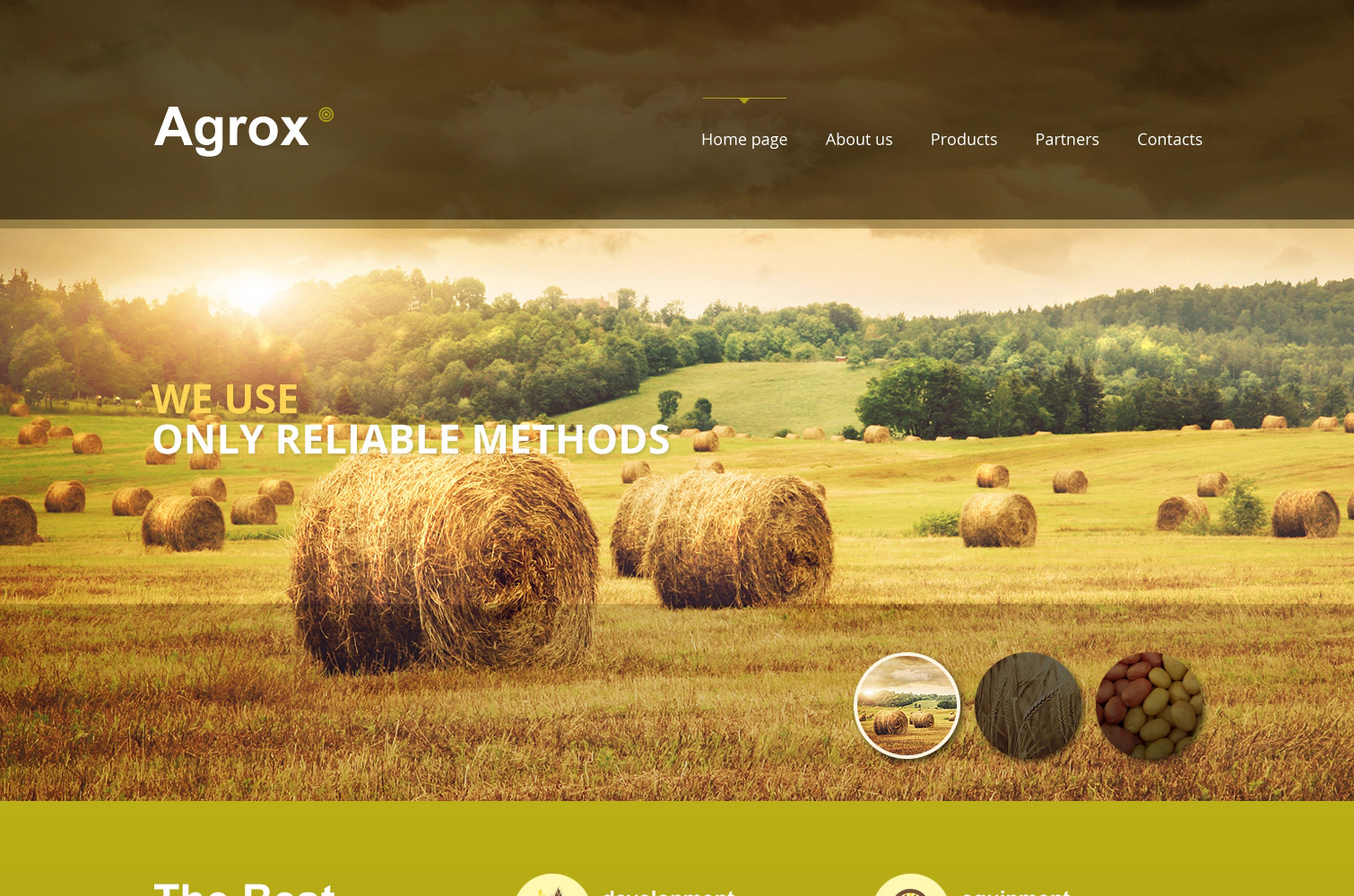 Farm Responsive Website Template #46511 - TemplateMonster