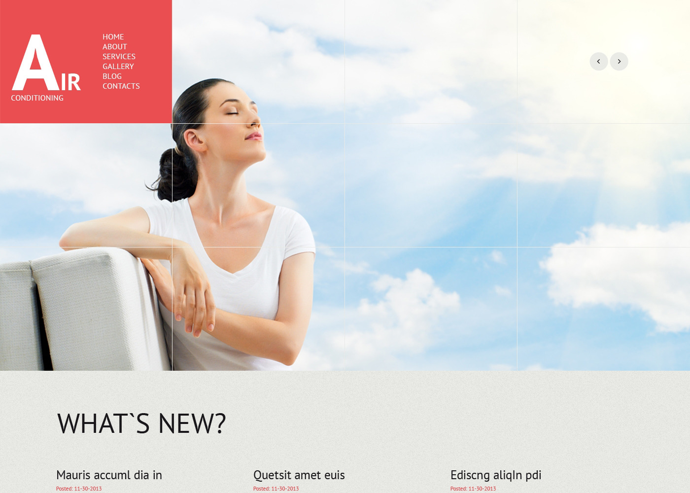 Air Conditioning Responsive WordPress Theme - TemplateMonster