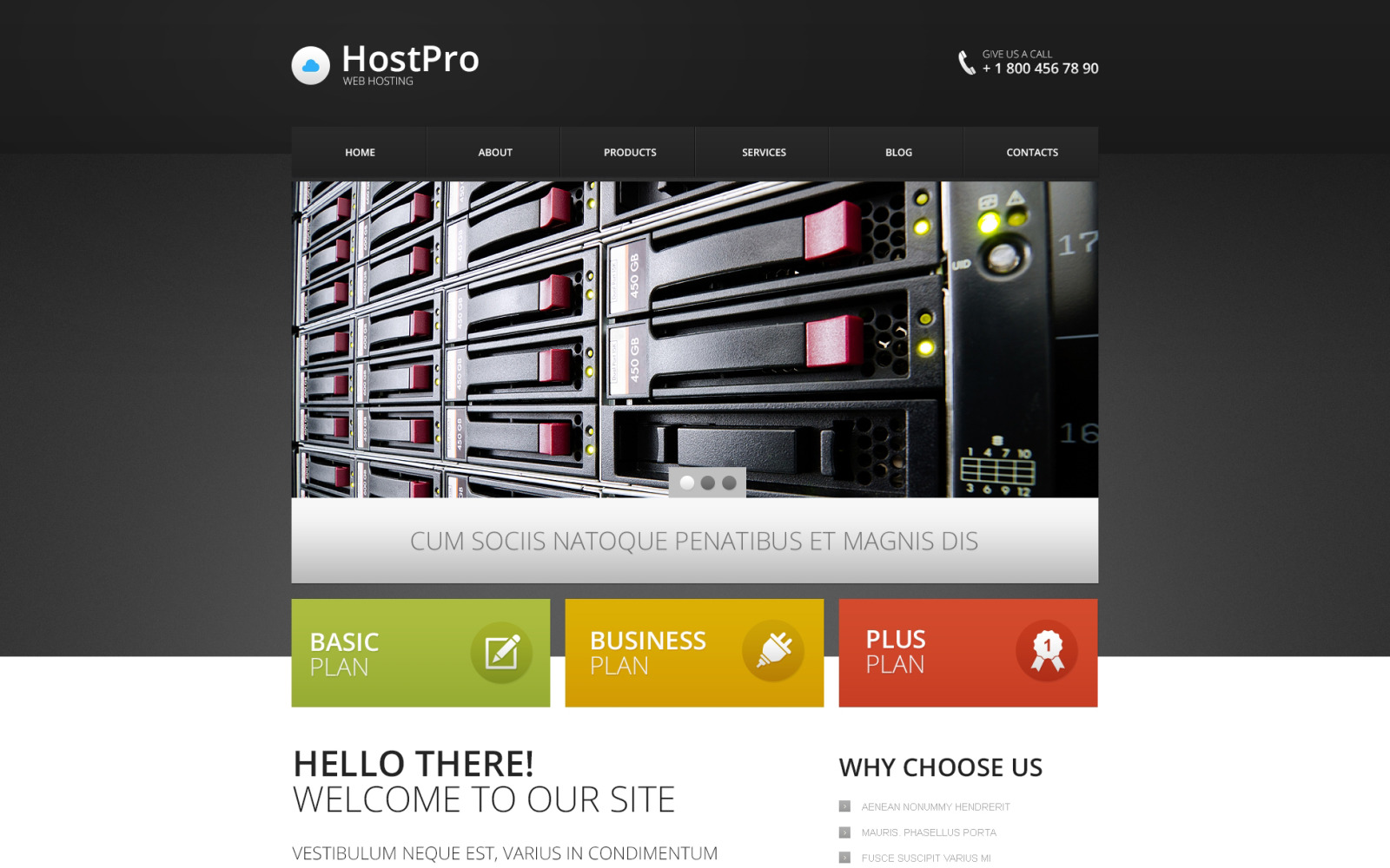 Hosting Responsive Drupal Template #47506 - TemplateMonster