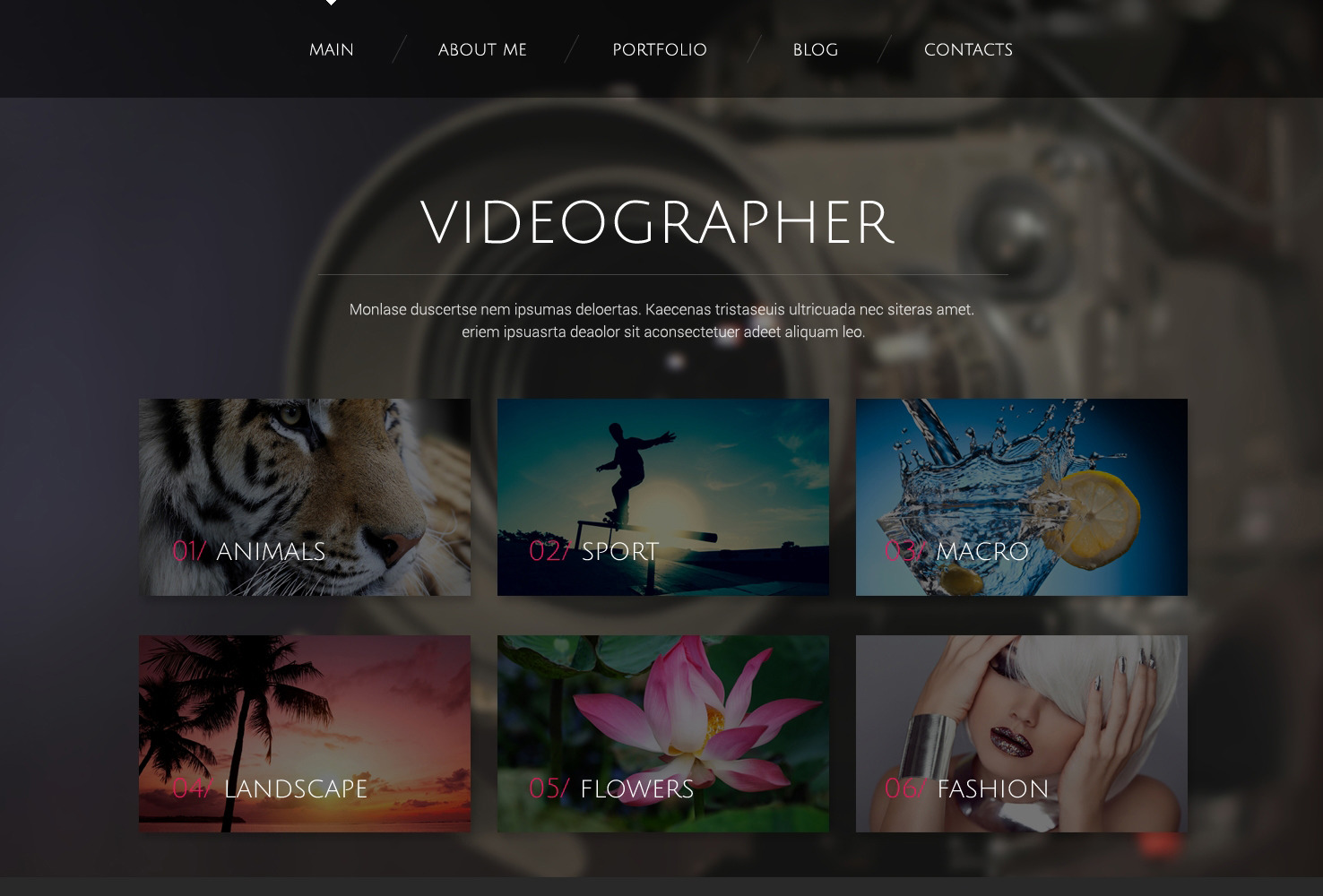 Videographer Responsive WordPress Theme - TemplateMonster