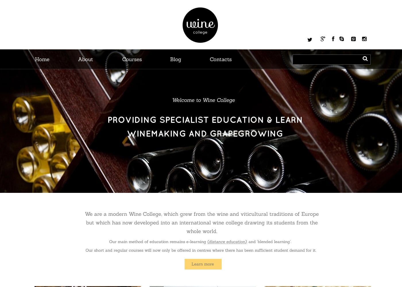 Wine Responsive Website Template #49020 - TemplateMonster