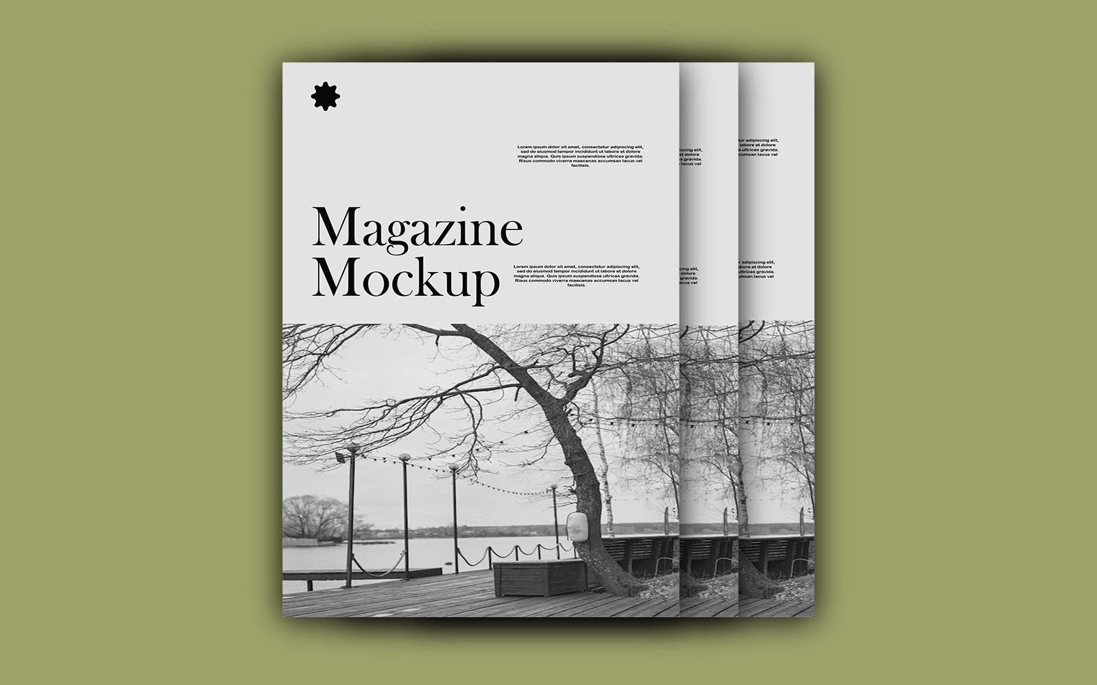 Magazine Mockup Design For Template #491111 - TemplateMonster