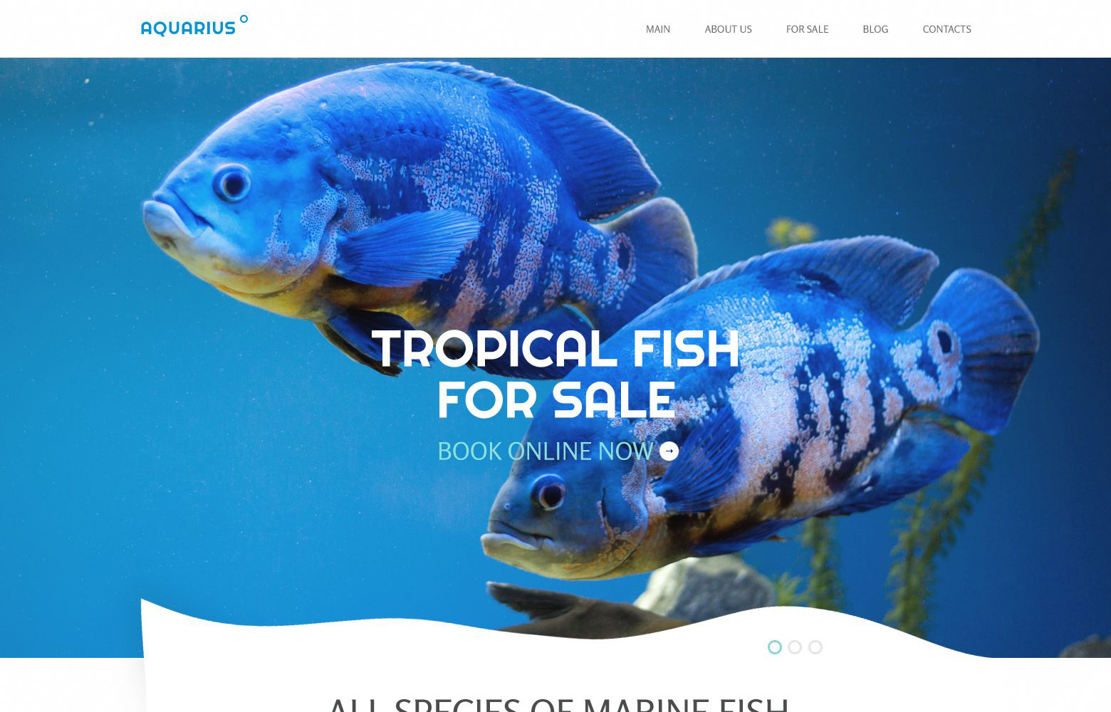 Fish Responsive Website Template #51730 - TemplateMonster