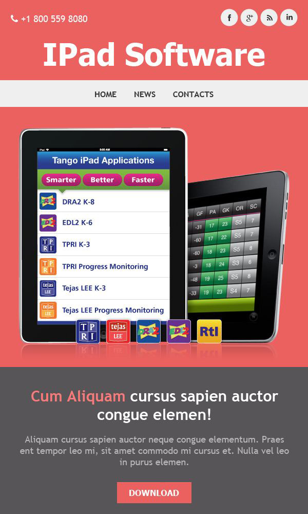 Software Company Responsive Newsletter Template